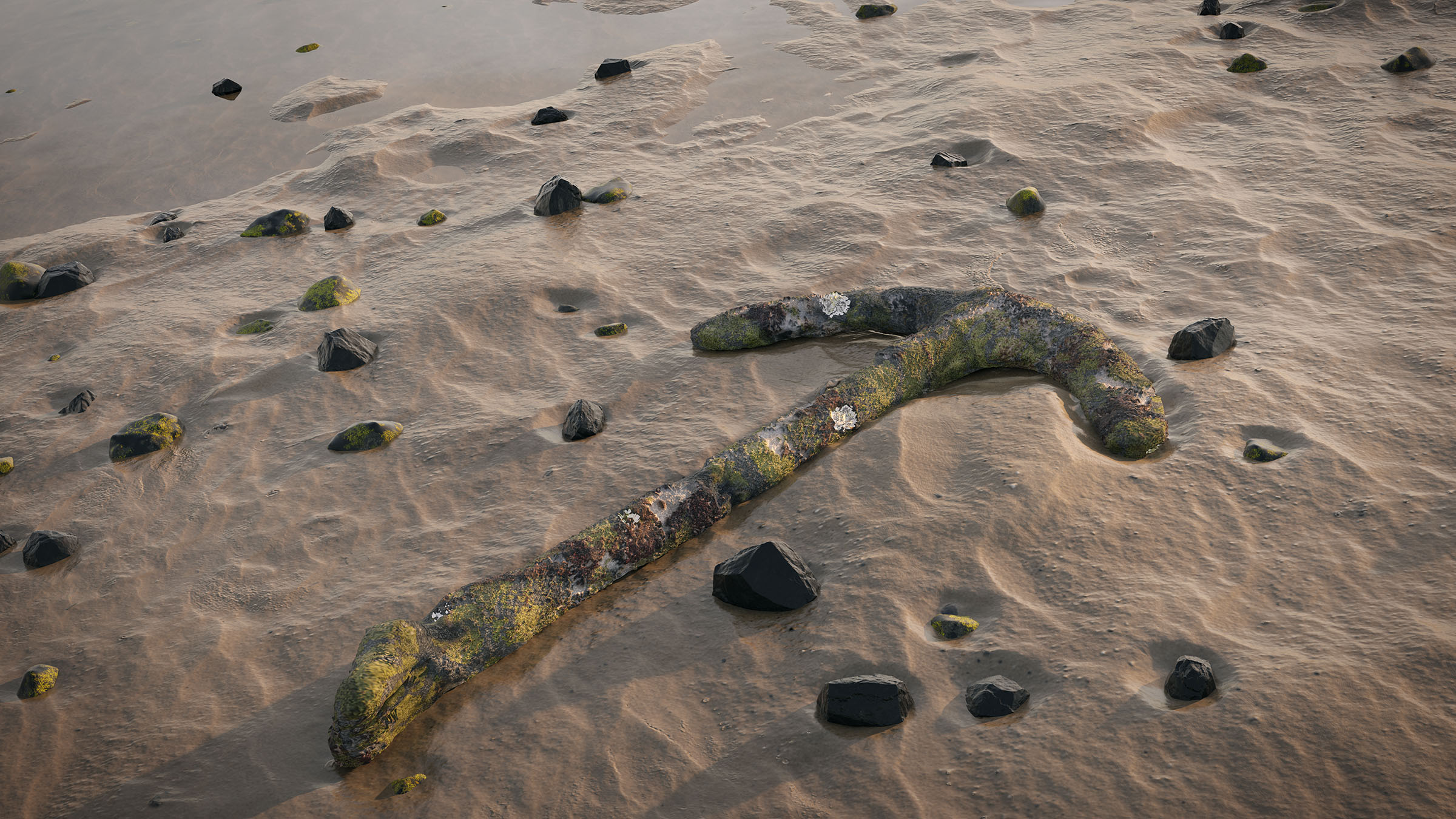 Drain The Oceans - National Geographic for everyone in everywhere