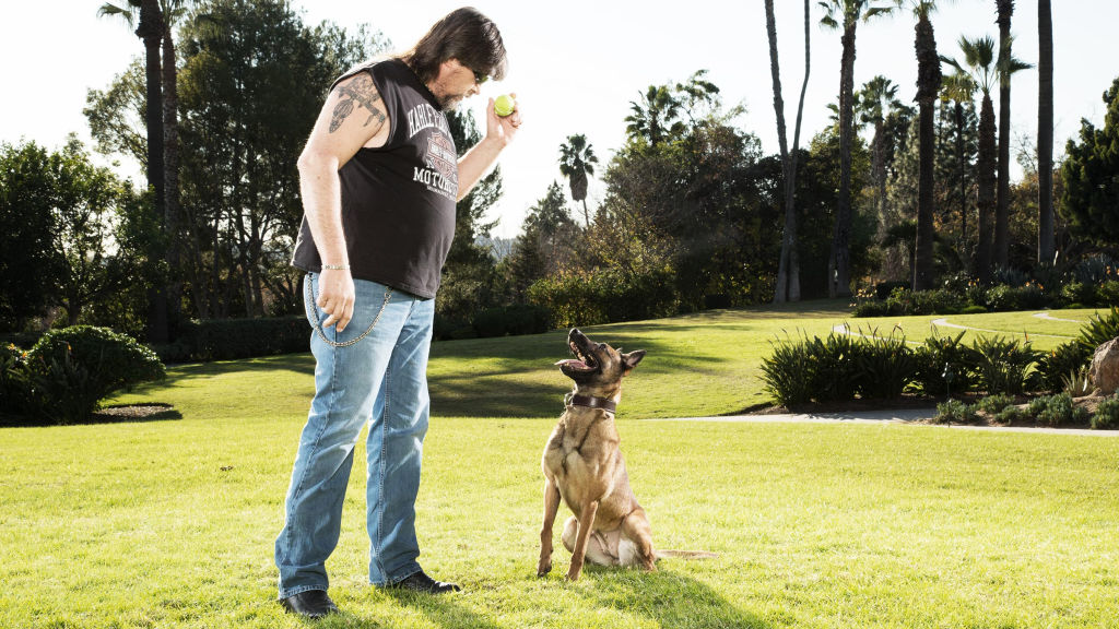Alpha Dogs - National Geographic for everyone in everywhere