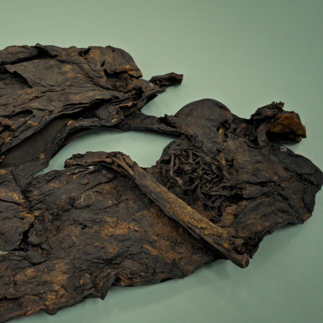Ancient Bodies: Secrets Revealed - National Geographic for everyone in ...